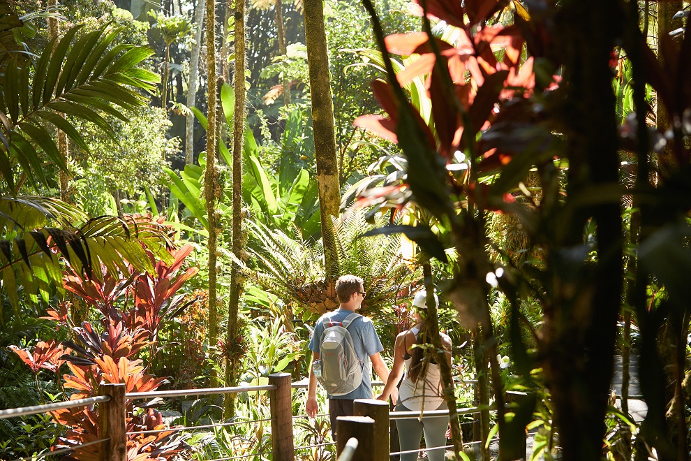 About Honolulu - CEC-ICMC 2023