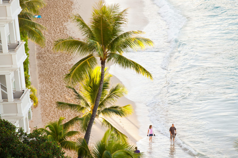 Home - CEC-ICMC 2023